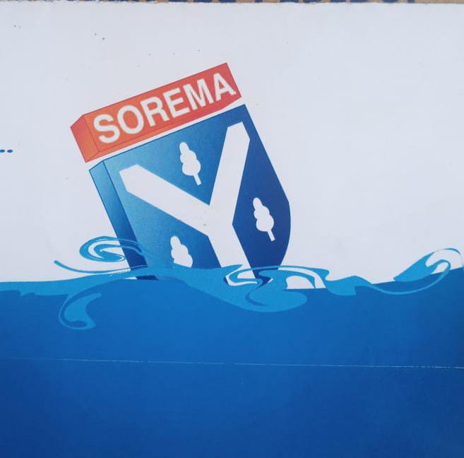 Sorema chega aos 63 anos esbanjando vitalidade - Affiche